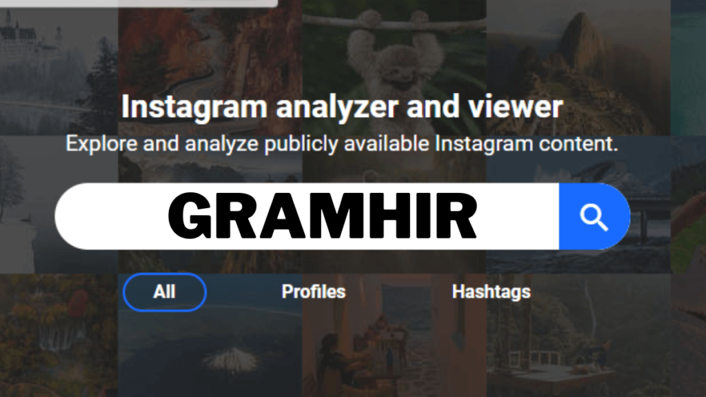 What is Gramhir.com and How to Use It to Analyze Instagram Accounts - APXV